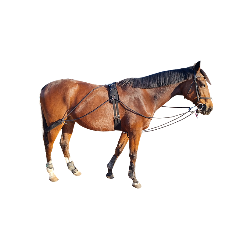 Train Your Horse Aid Solo – Solo Saddlers