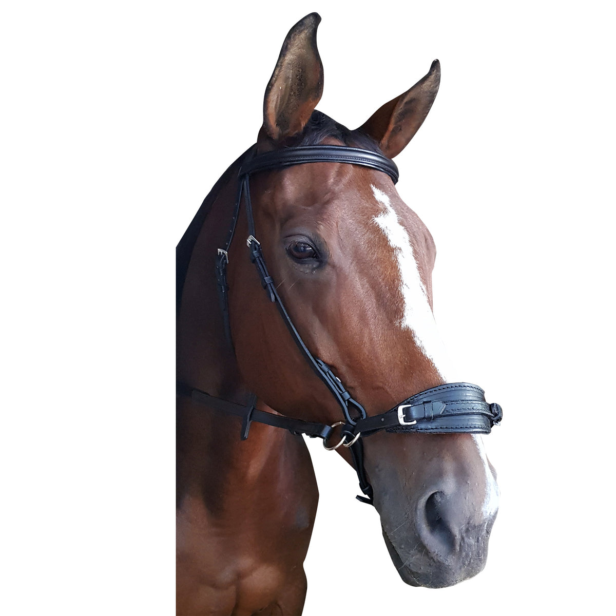 Bridle Bitless Crank Noseband Solo – Solo Saddlers