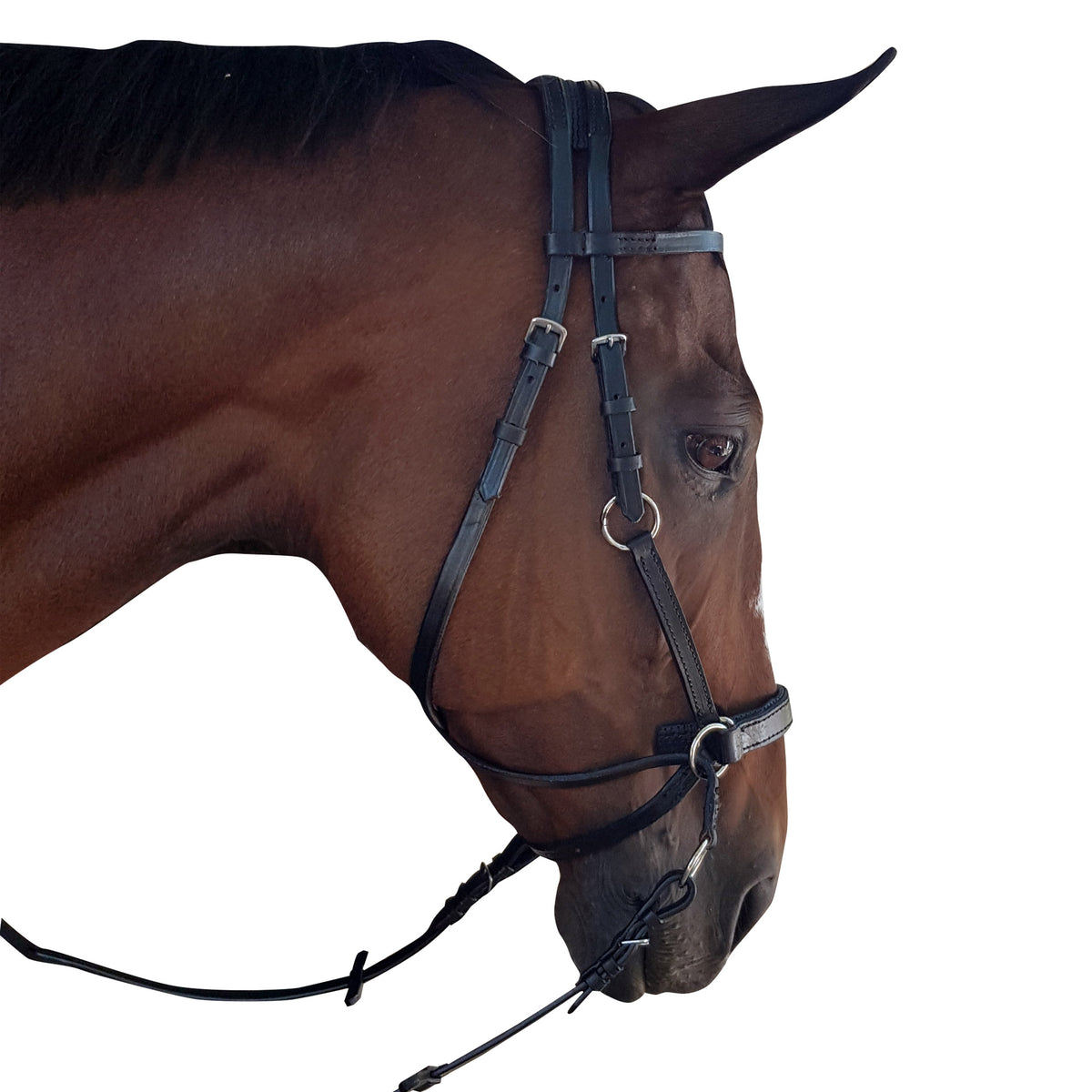 Bridle Bitless Crossover Solo – Solo Saddlers