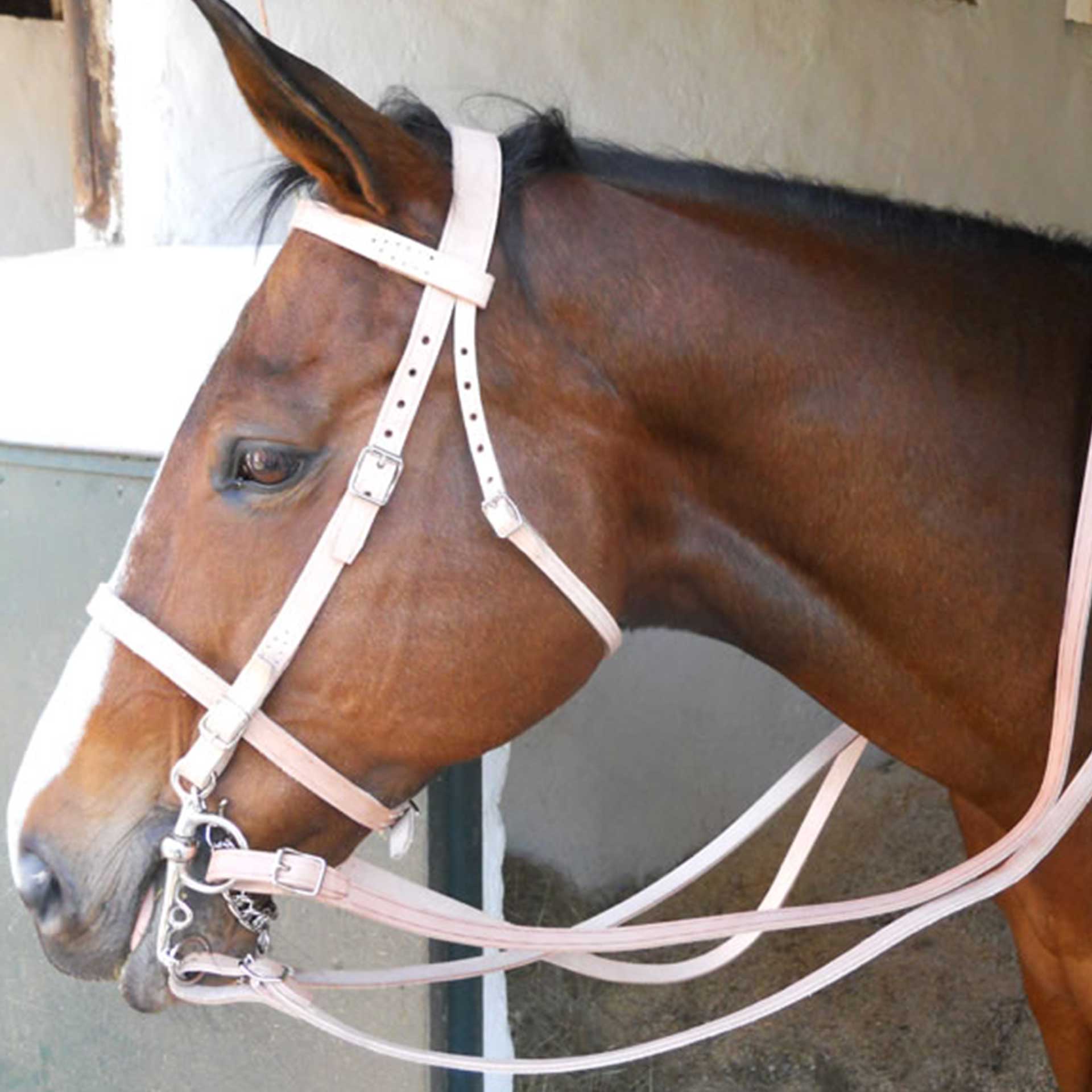 Bridle Farm Double + Bit – Solo Saddlers