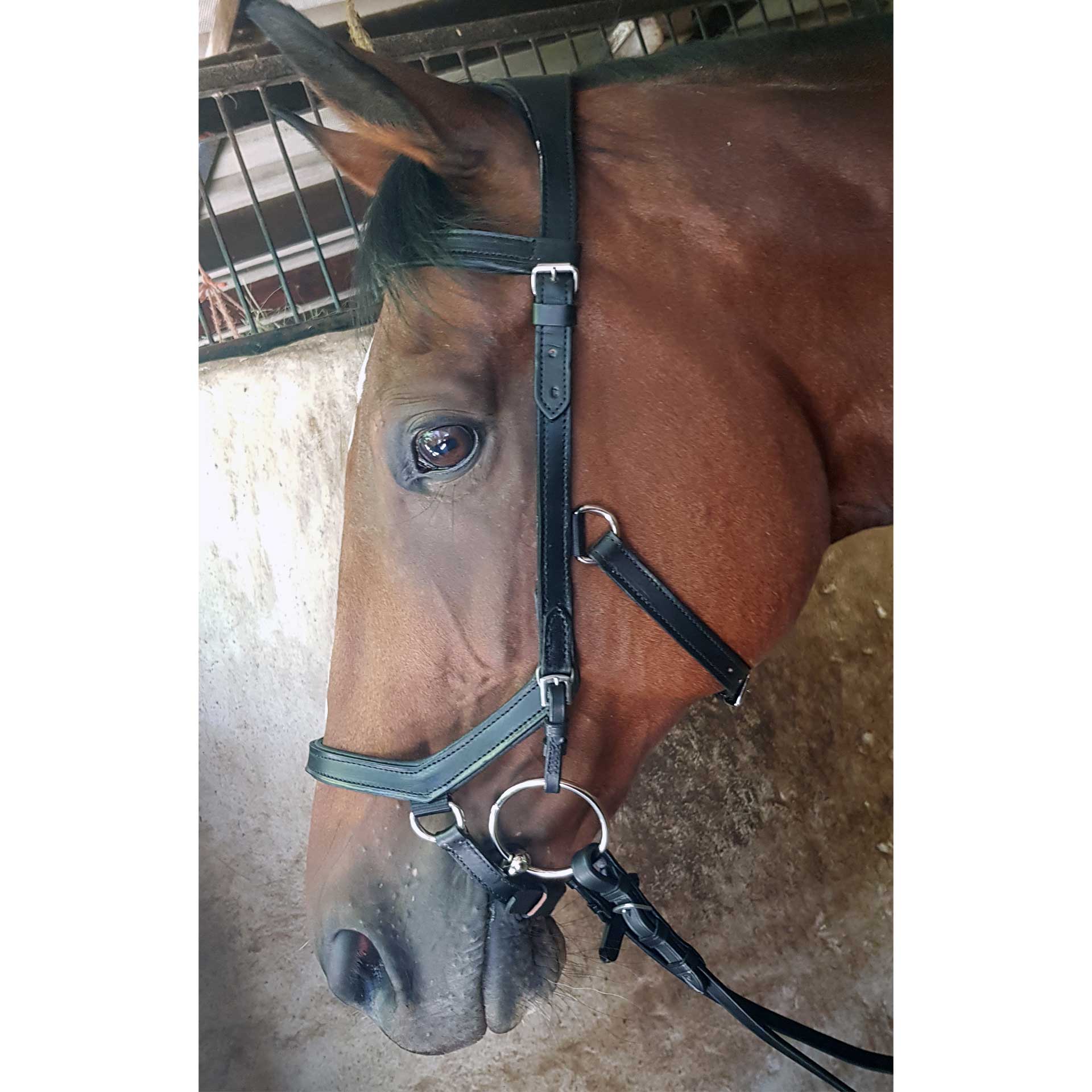 Bridle Relief Solo – Solo Saddlers