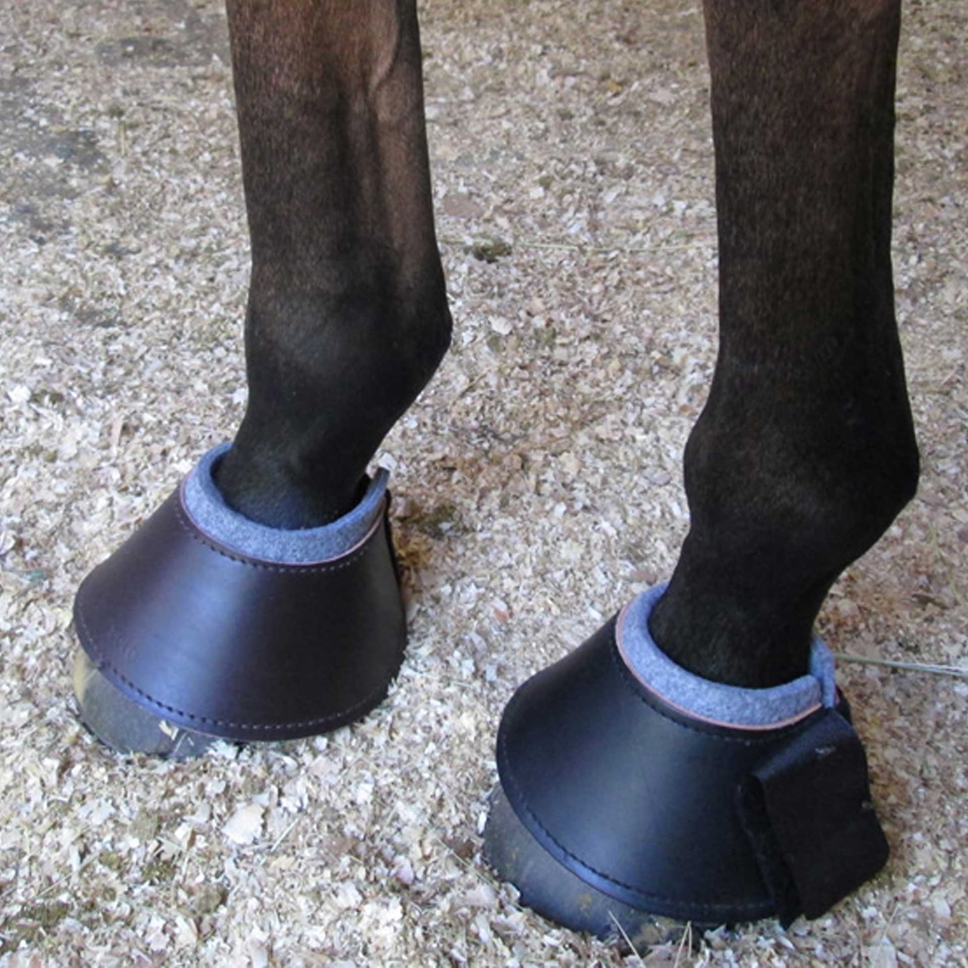 Coronet Boot Solo – Solo Saddlers