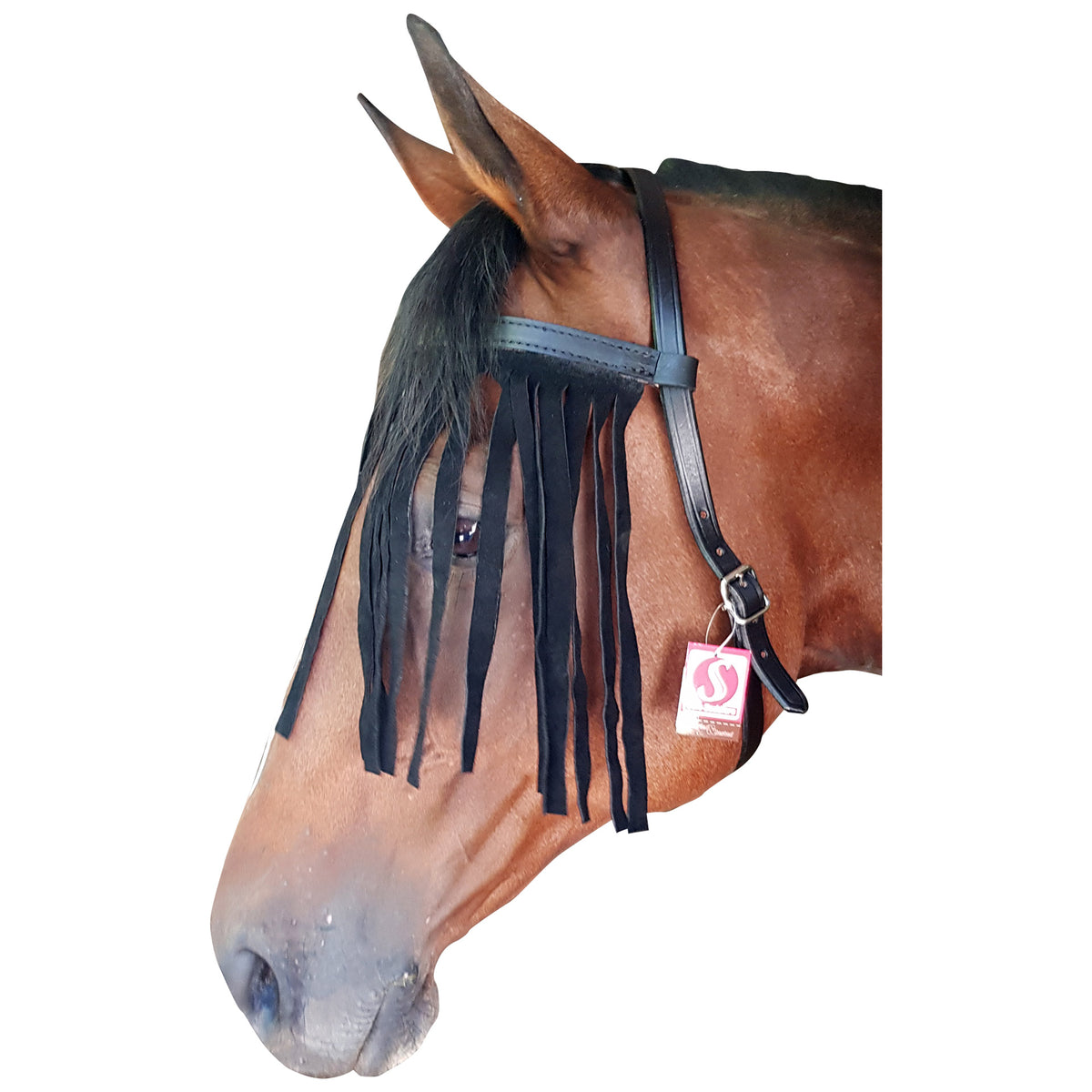 Fly Fringe Leather Solo – Solo Saddlers