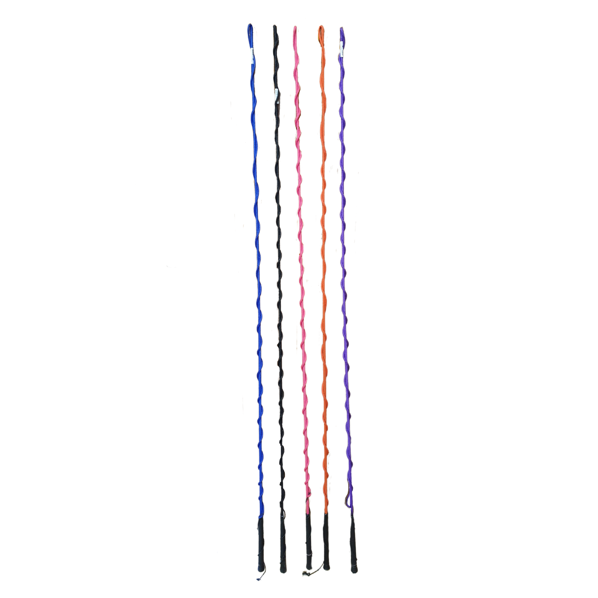 Lunge Whip Solo – Solo Saddlers