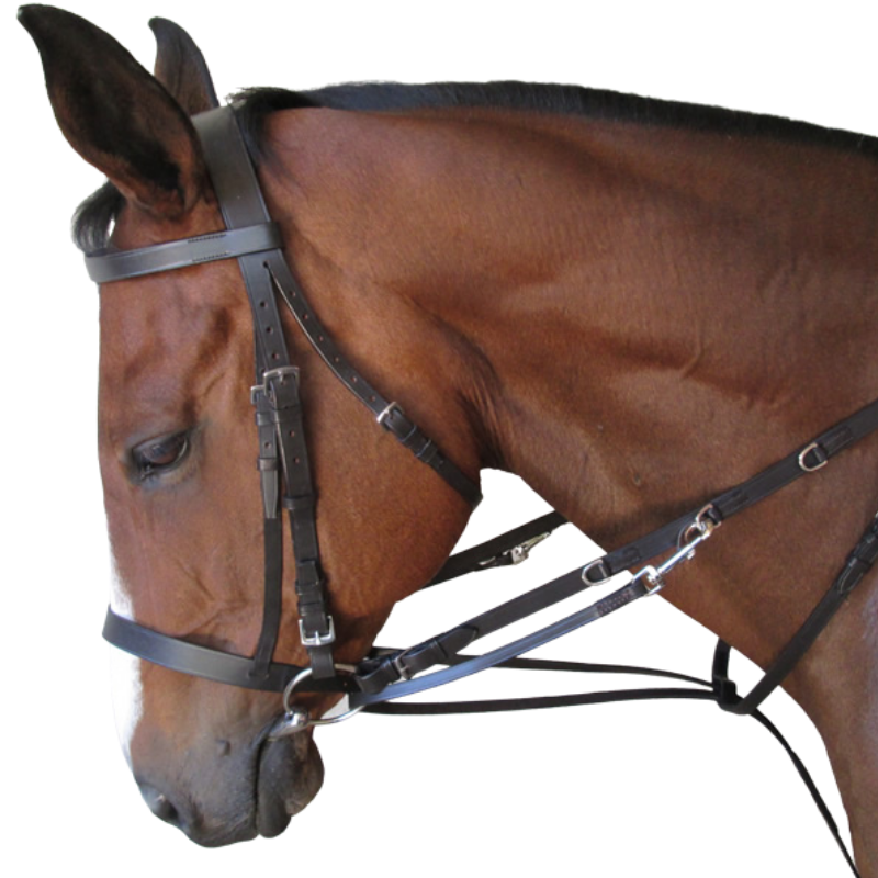 German Martingale / Market Harborough | Solo Saddlers
