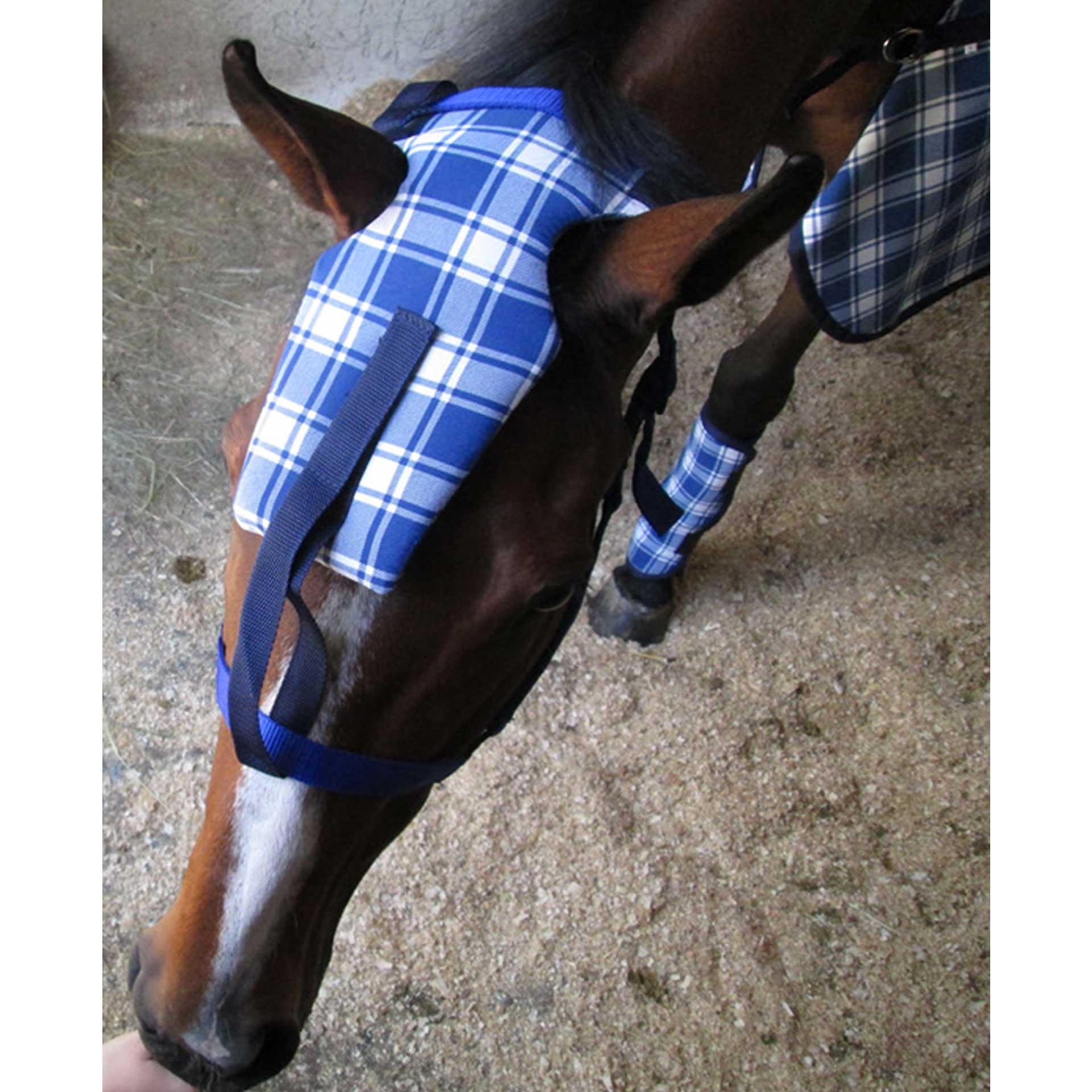 Poll Guard Solo – Solo Saddlers