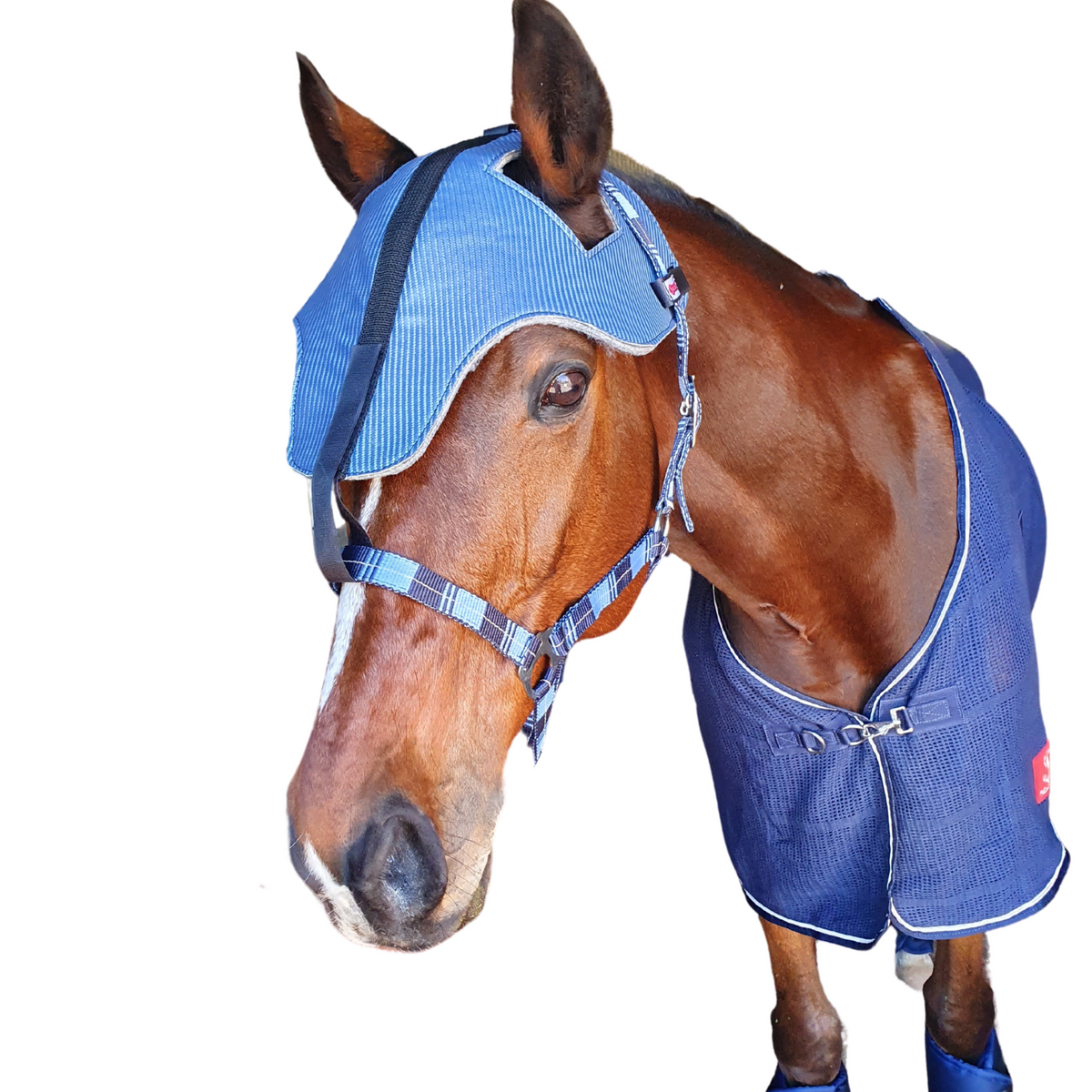 Poll Guard Full Solo – Solo Saddlers