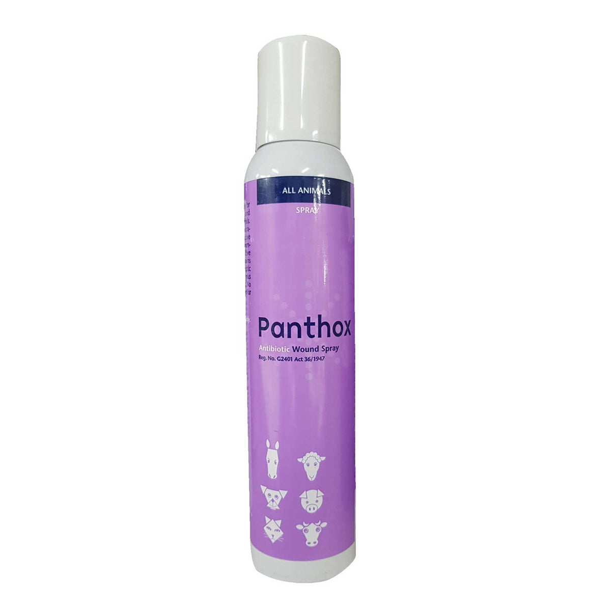 Panthox Antibiotic Wound Spray – Solo Saddlers